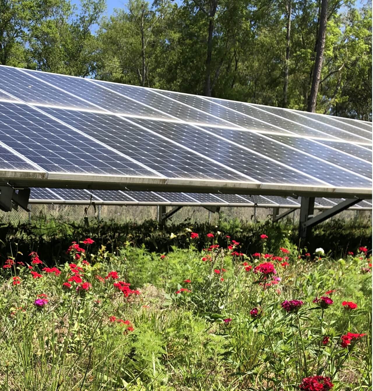 Landowner Partnerships